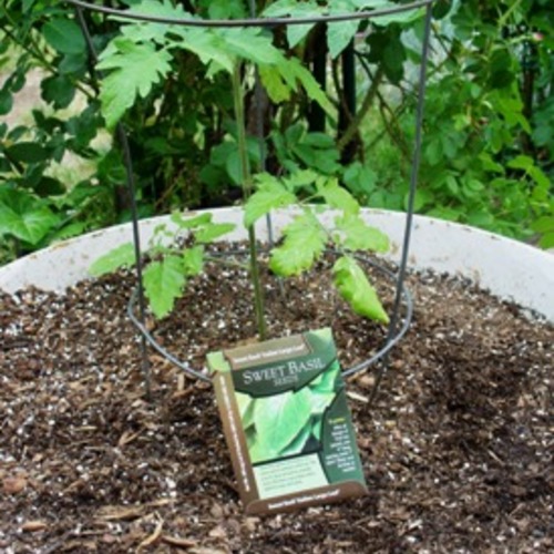 Perfect Plant Pairings - Fine Gardening