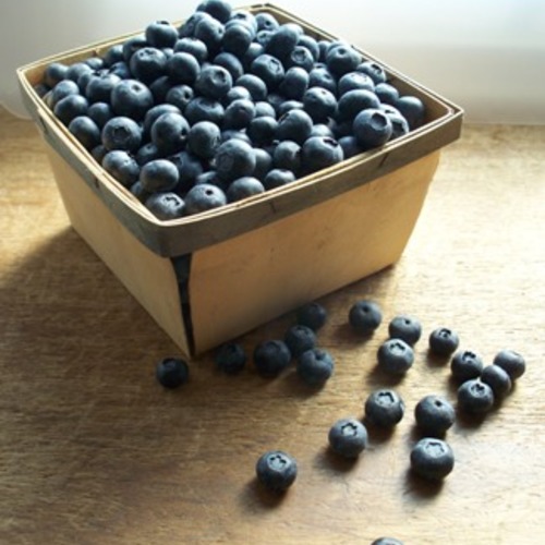 Baskets of Blueberries in Colorado? - Fine Gardening