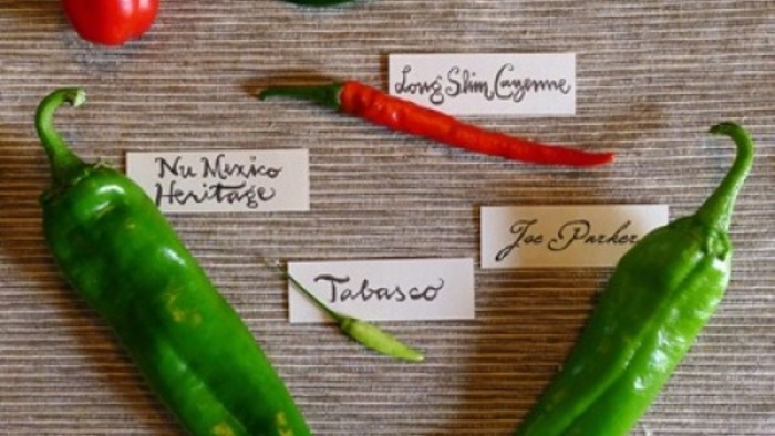 How to Make Hot Pepper Sauce - Fine Gardening