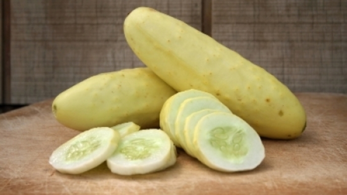 Celebrate Summer! Easy Cucumber Recipes - Fine Gardening