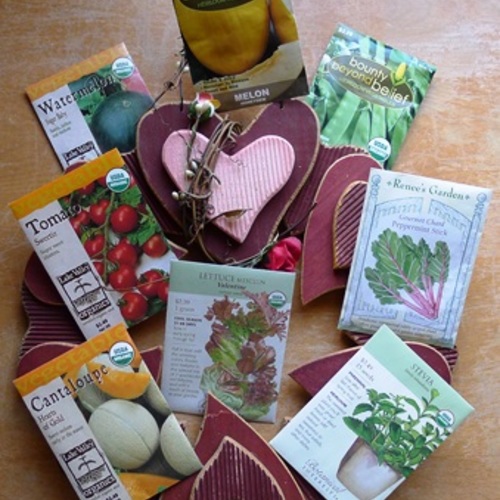Sweet Seeds for Valentine’s Day - Fine Gardening