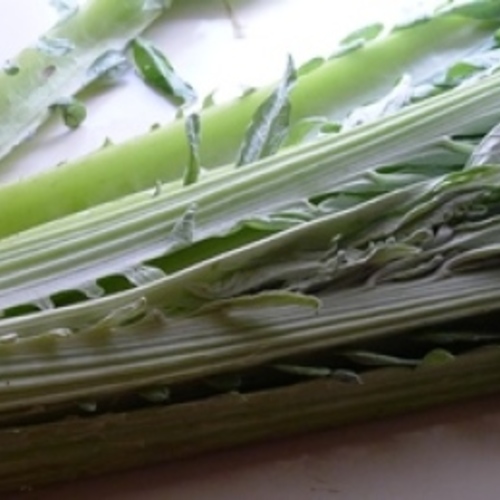 Cardone is a Special Vegetable - Fine Gardening