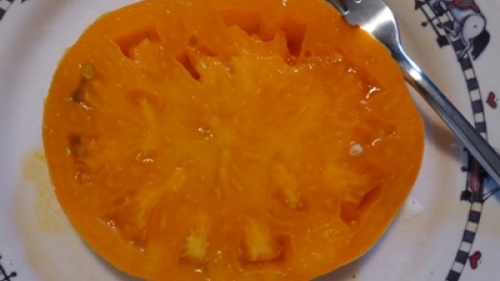 Midnight Snack Tomato is a Star - FineGardening