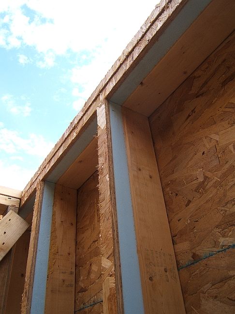 Double Top Plate - Fine Homebuilding