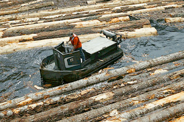Steam-Powered Sawmill - Fine Homebuilding