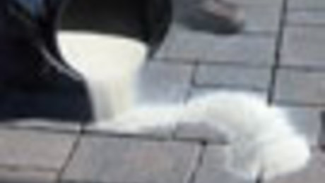 How to Set Pavers and Prevent Weed Growth with SAKRETE Paver Set ...