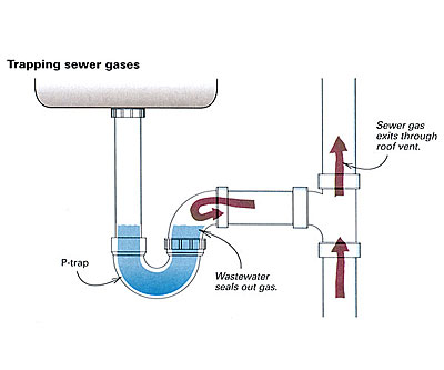 Finding and curing plumbing odors - Fine Homebuilding