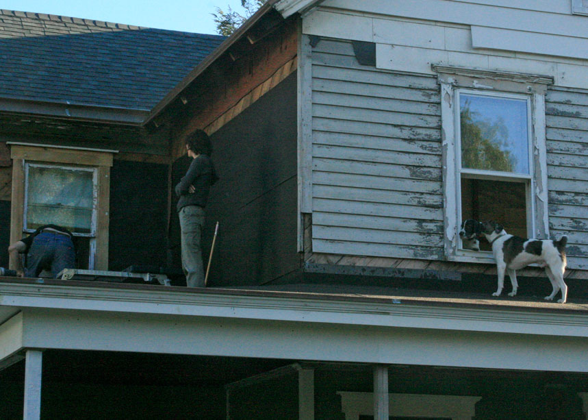 Rooftop dogs - Fine Homebuilding