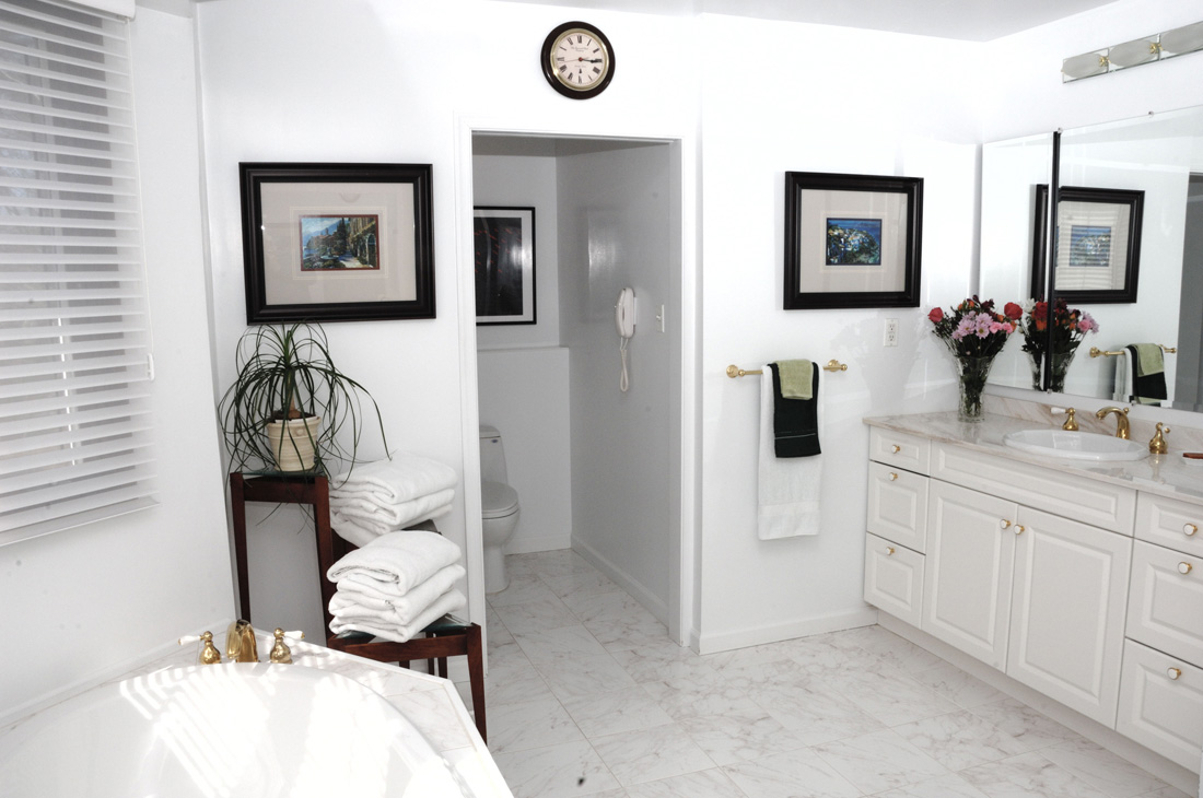 Bathroom Renovation - Fine Homebuilding