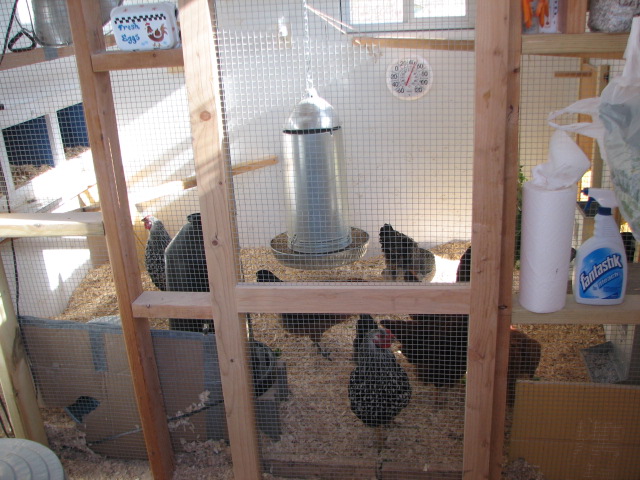 "Palais Poulet" (Chicken Palace) - Fine Homebuilding