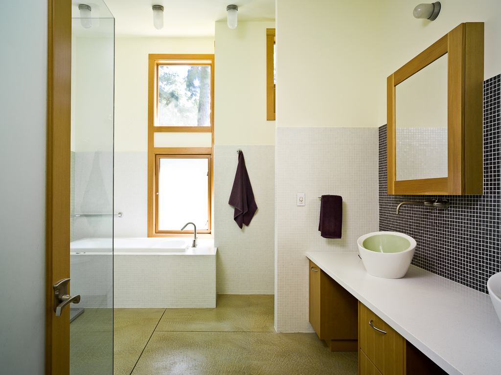 Modern Bath Oasis - Fine Homebuilding