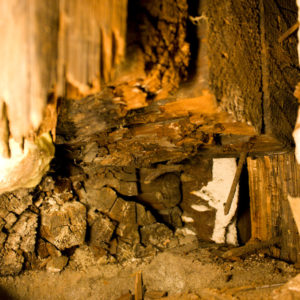 Rotted Beam - Fine Homebuilding