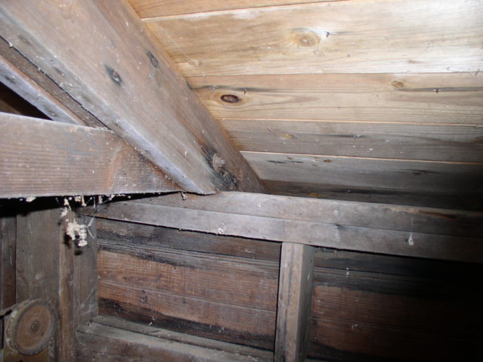 Replacing rafter tails that are sistered to a truss roof - Fine ...