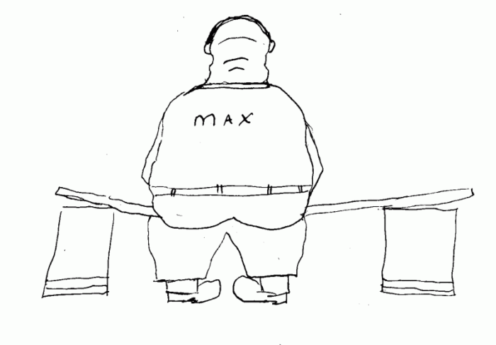 The Fat Max - Fine Homebuilding