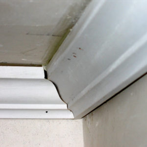 coping crown - Fine Homebuilding