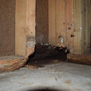 Garage 2x4 wall is a little below grade and rotting - Fine Homebuilding