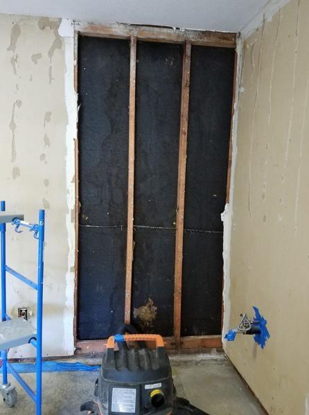 Tar Papered Interior Wall Sheathing and Mold in the Cavity - Fine ...
