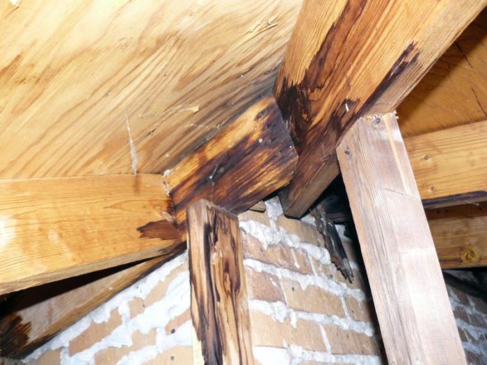 Replacing Rafters Part II - Fine Homebuilding