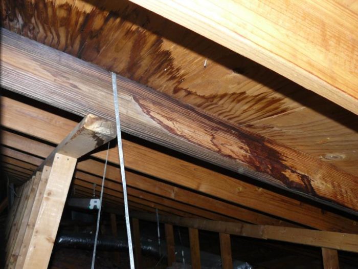 Replacing Rafters Part II - Fine Homebuilding