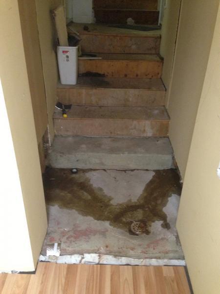 Old house, uncovered old leak - Fine Homebuilding