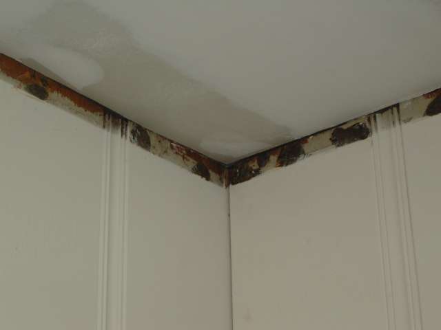 What would you do with this room? - Fine Homebuilding