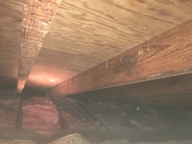 Roof Shiners - Fine Homebuilding