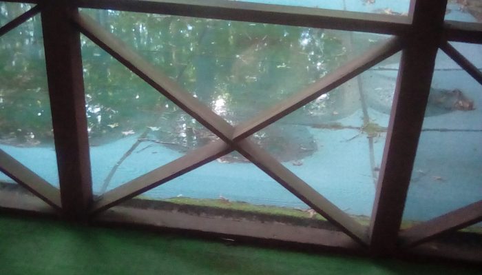 Diagonal cross in a square area - Fine Homebuilding