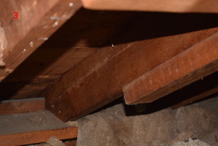 sistering 2×6 rafters - Fine Homebuilding