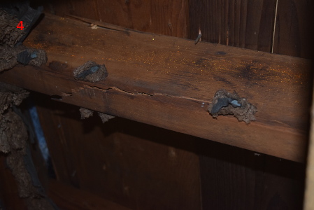 sistering 2×6 rafters - Fine Homebuilding