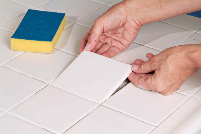 Setting a Replacement Tile - Fine Homebuilding