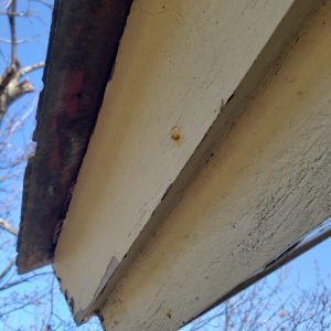 Gutter Positioning – Angled Fascia, & Slates - Fine Homebuilding