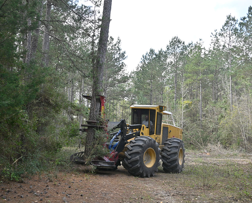 How Lumber is Produced - Fine Homebuilding