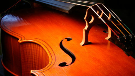 How to Make a Violin - Teaching Stradivarius - FineWoodworking