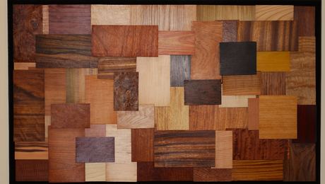 100 Trees: A Display of Wood Veneers - FineWoodworking