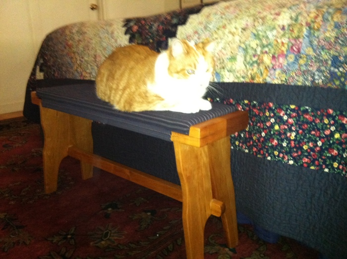 Cat Bench - FineWoodworking