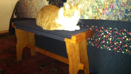 Cat Bench - FineWoodworking