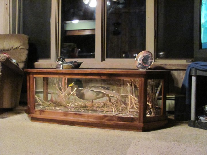 Black walnut duck and pheasant display cases - FineWoodworking