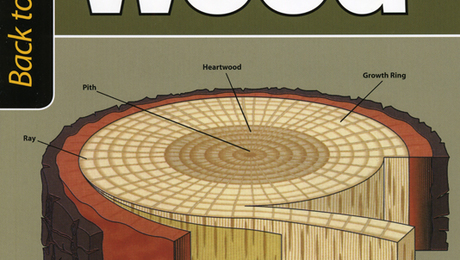 UPDATE: Book Giveaway: Woodworker's Guide to Wood from Fox Chapel ...