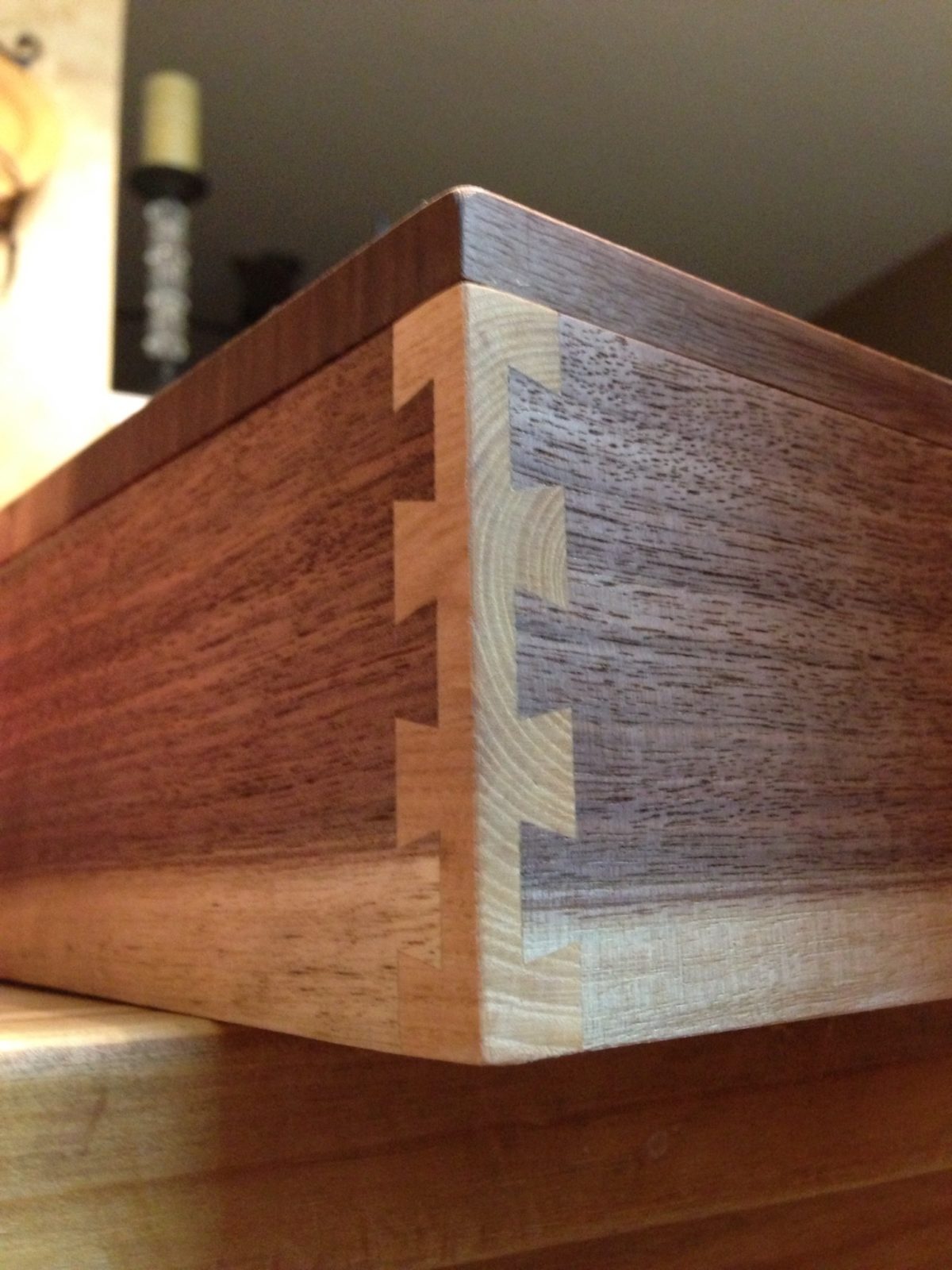 Box with corner post dovetails and wooden hinges - FineWoodworking