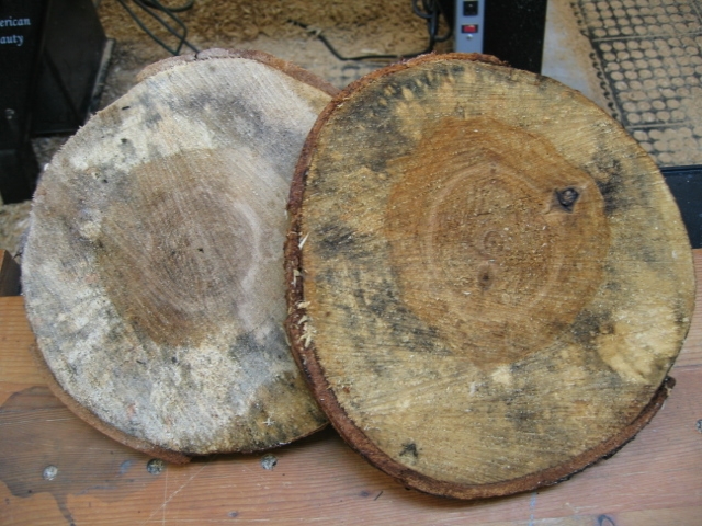 Spalt Your Own Lumber: Outdoor Spalting - FineWoodworking