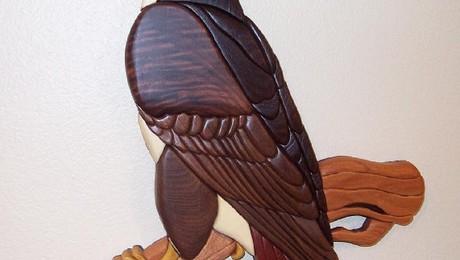 Intarsia Redtail Hawk - FineWoodworking