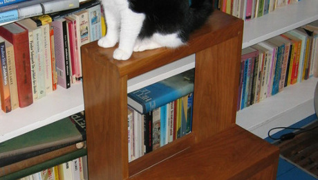 Shaker step, bench and kitchen - FineWoodworking