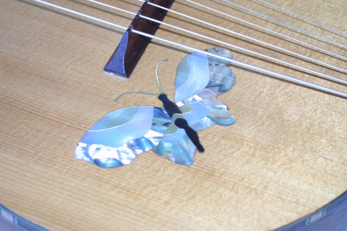 Guitar with Inlay - FineWoodworking