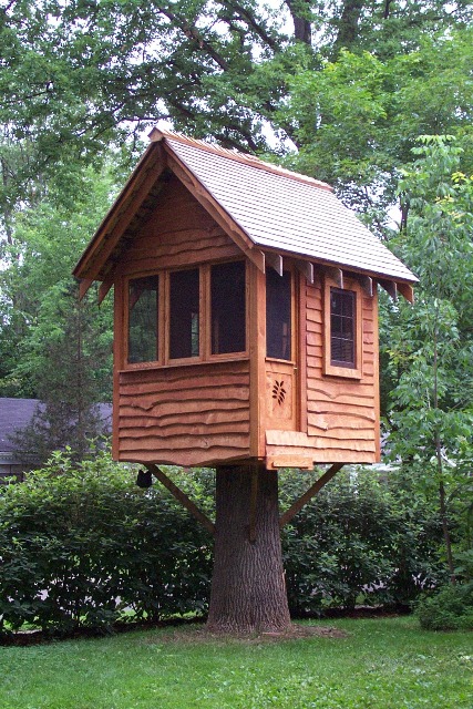 White Ash tree House - FineWoodworking