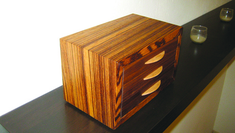 Rare coin Box - FineWoodworking