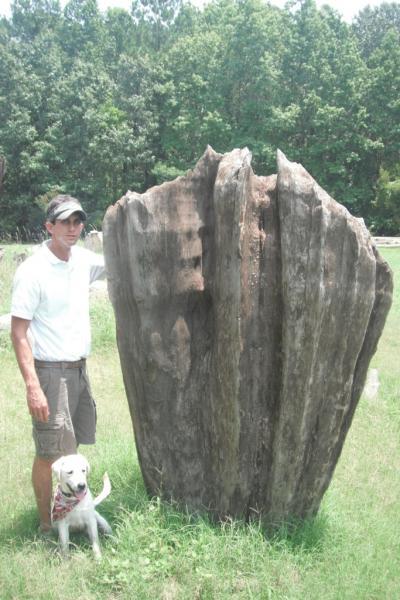 Reclaimed Old Growth Cypress Slabs - FineWoodworking