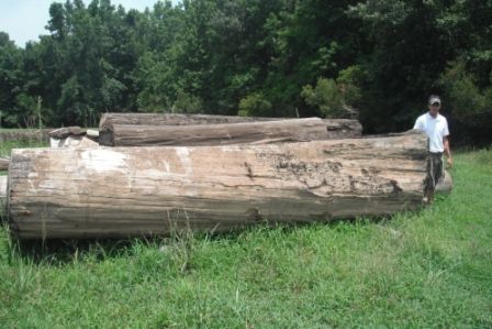 Reclaimed Old Growth Cypress Slabs - FineWoodworking