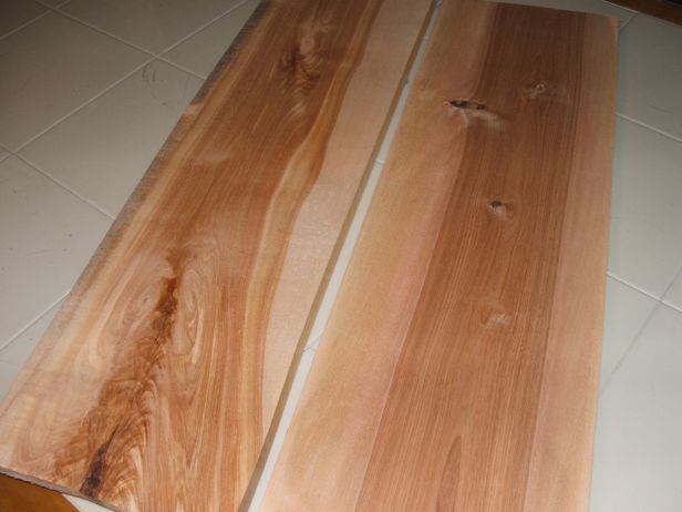 Birch, the forgotten wood - FineWoodworking