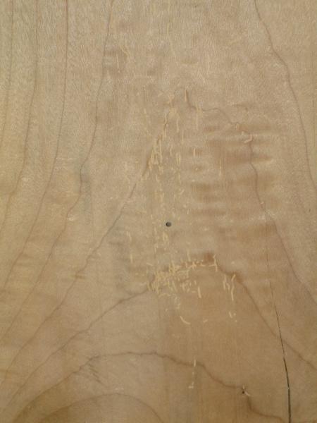 Wormholes in Maple, what to do??? - FineWoodworking