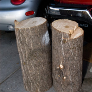 Ginkgo Biloba Tree Wood - FineWoodworking